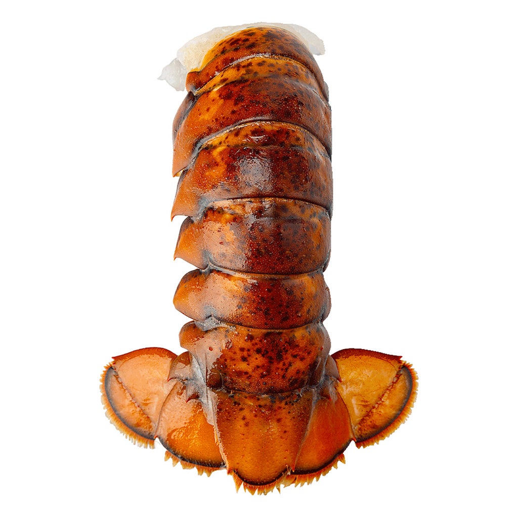 Blue Tide Frozen Wild Lobster Tail, 4-5 oz. 4.54 kg – RJP Wholesale