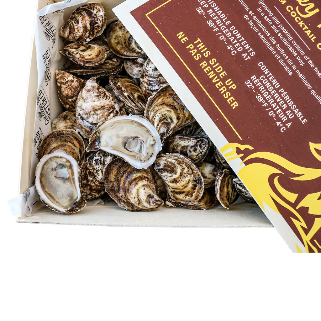 Foxley River Premium Cocktail Oysters, 100 × 2.5 in. to 3 in. – RJP ...